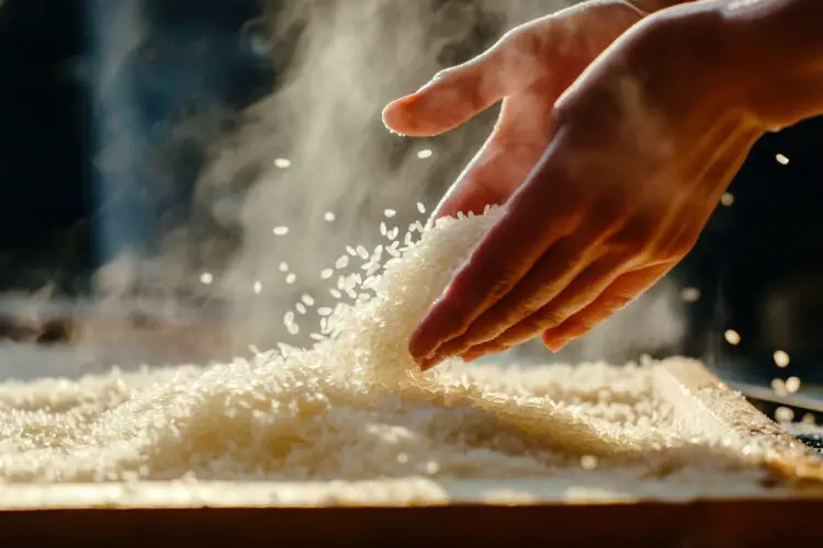 The Hidden Secret Behind Making Perfect Fried Rice - Recipe Heaven