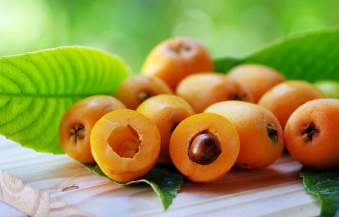 This Long Forgotten Fruit Was Once Extremely Popular - Recipe Heaven